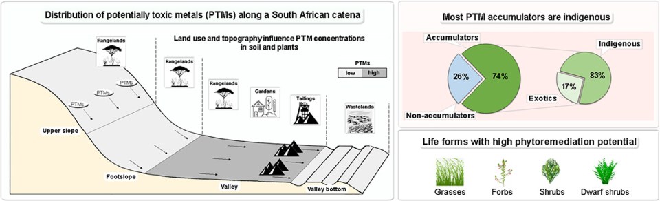 Publications « Nishanta "Nishi" Rajakaruna